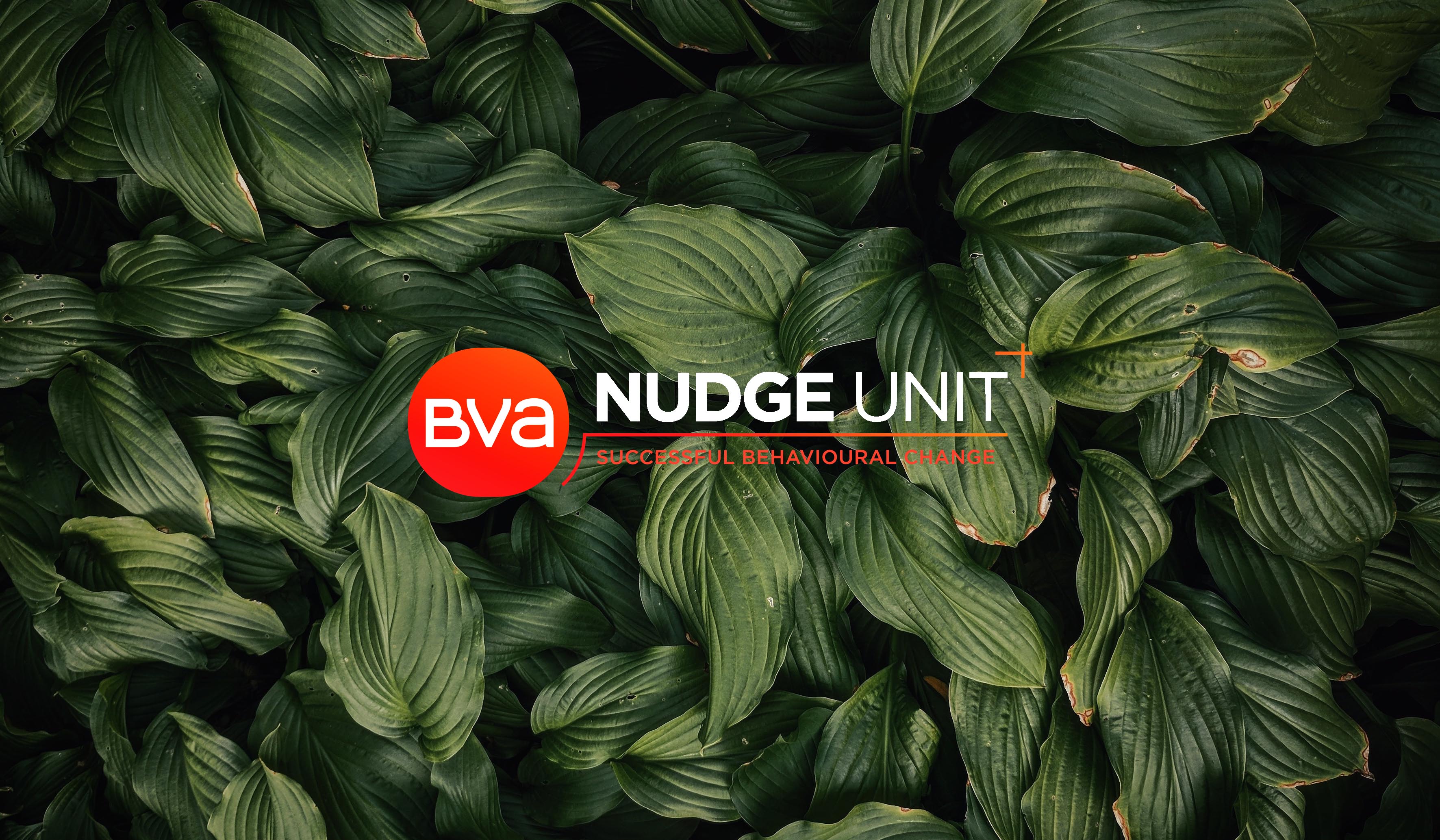BVA Nudge Unit Webinar Registration